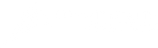 Care Manager Portal Page (November) – Summit Health
